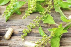 Extrait de Pao Pereira : enfin un remède contre le cancer - Le Blog de ...